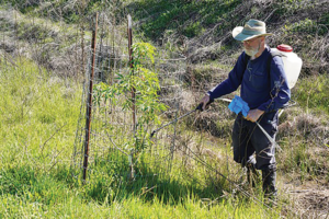 Walnut Creek Open Space Volunteer Opportunities - Your Town Monthly