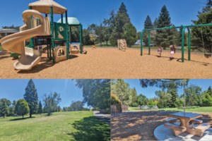 Larkey Park in Walnut Creek - Your Town Monthly