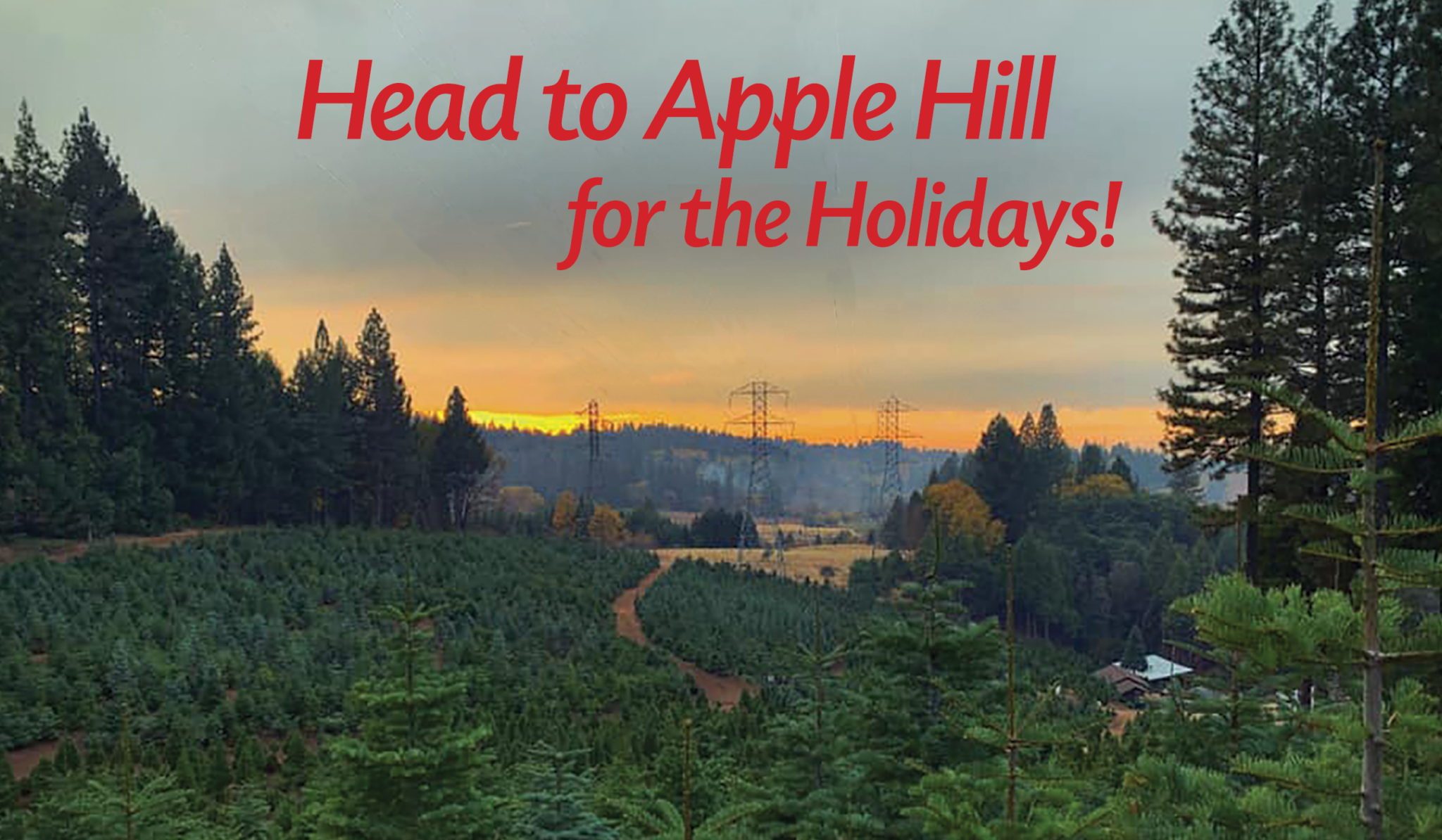 Head to Apple Hill for the Holidays! - Your Town Monthly